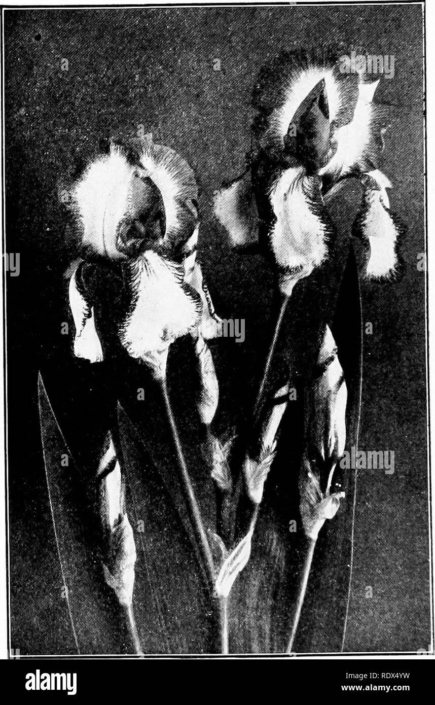 Landscaping practice Black and White Stock Photos & Images - Alamy