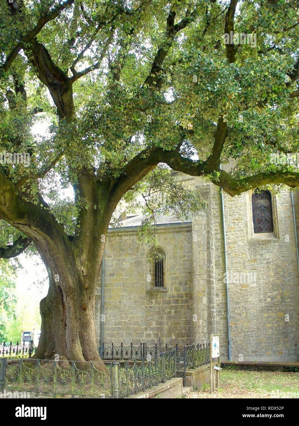 Santuario de la encina hi-res stock photography and images - Alamy