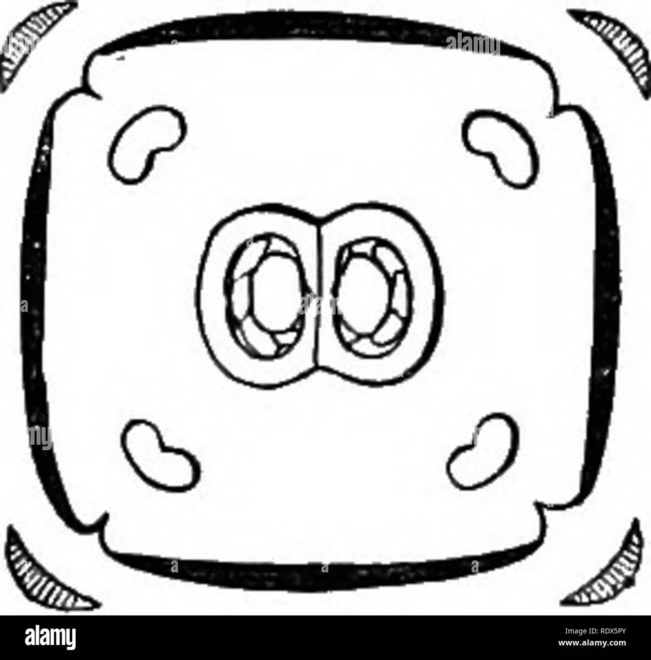 Convolute d hi-res stock photography and images - Alamy
