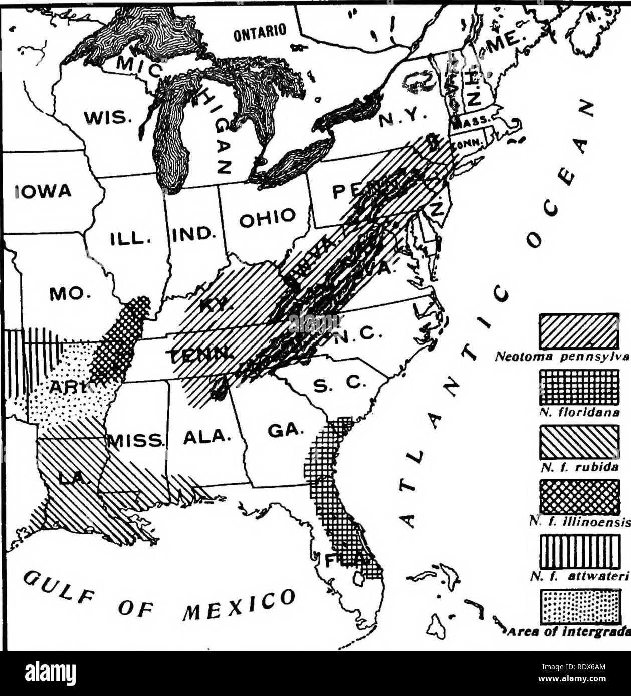 50 states map Black and White Stock Photos & Images - Alamy