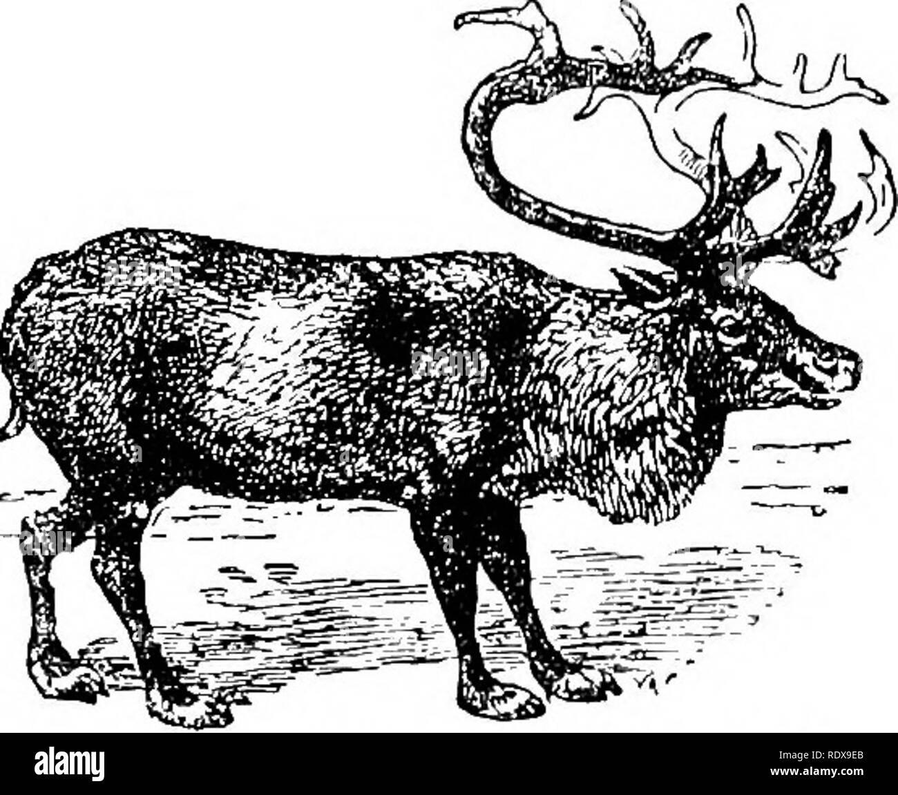 Foreshortened position hi-res stock photography and images - Alamy