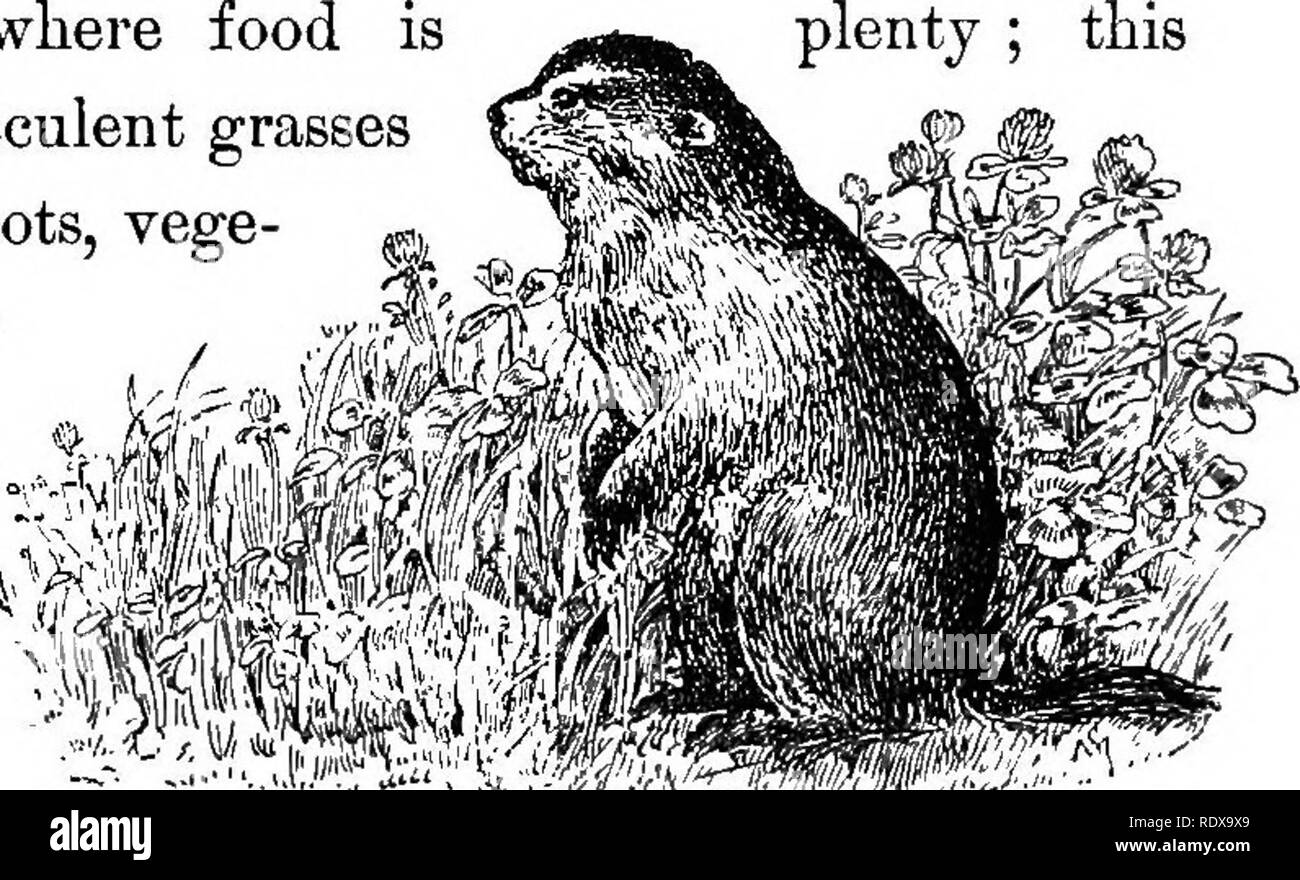 Man slump food hi-res stock photography and images - Alamy