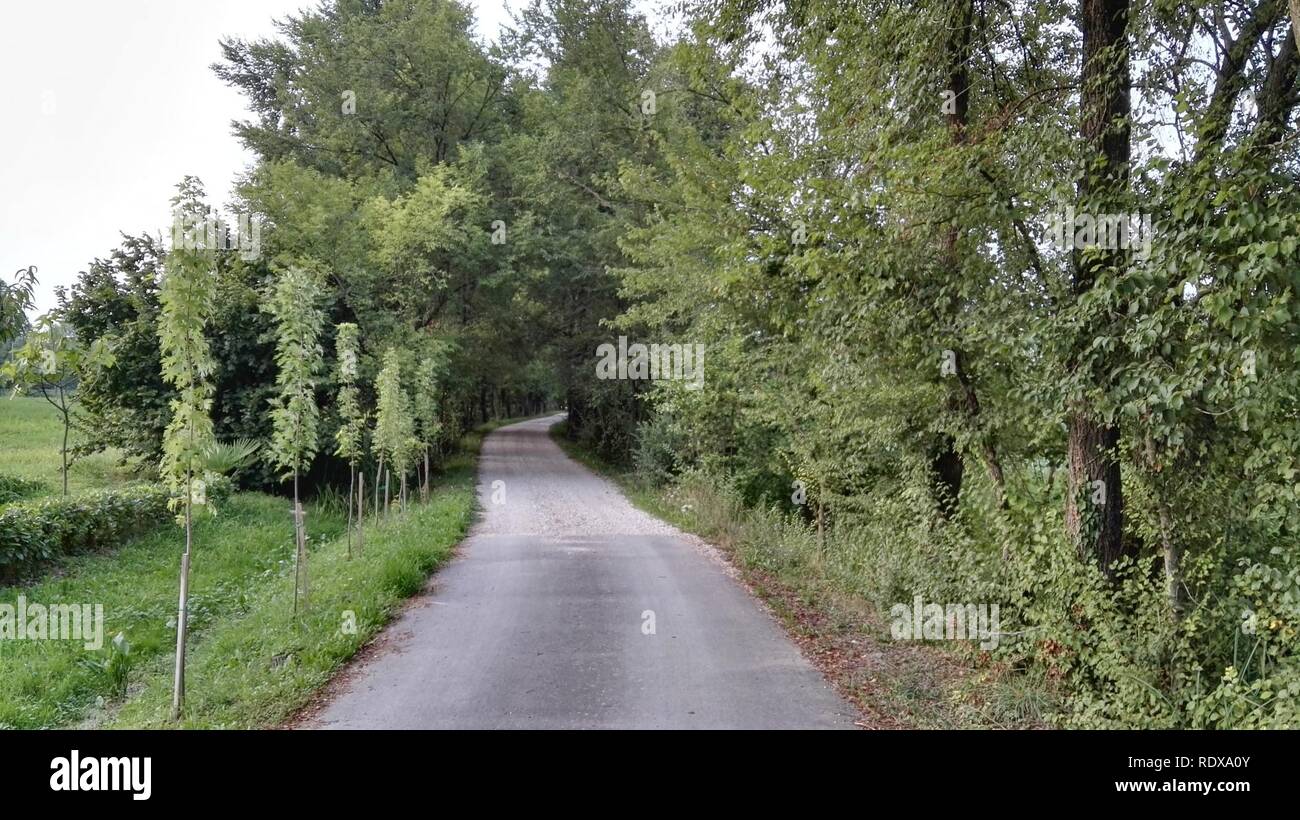 Area Naturalistica Molino Zanini fiume Dese Stock Photo - Alamy