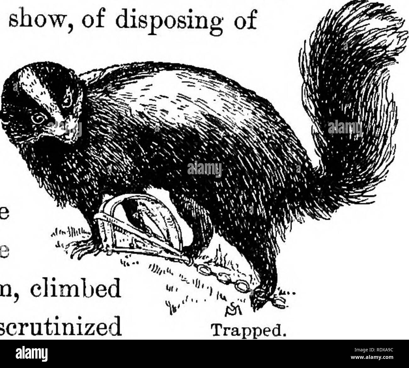 The peddler show Black and White Stock Photos & Images - Alamy