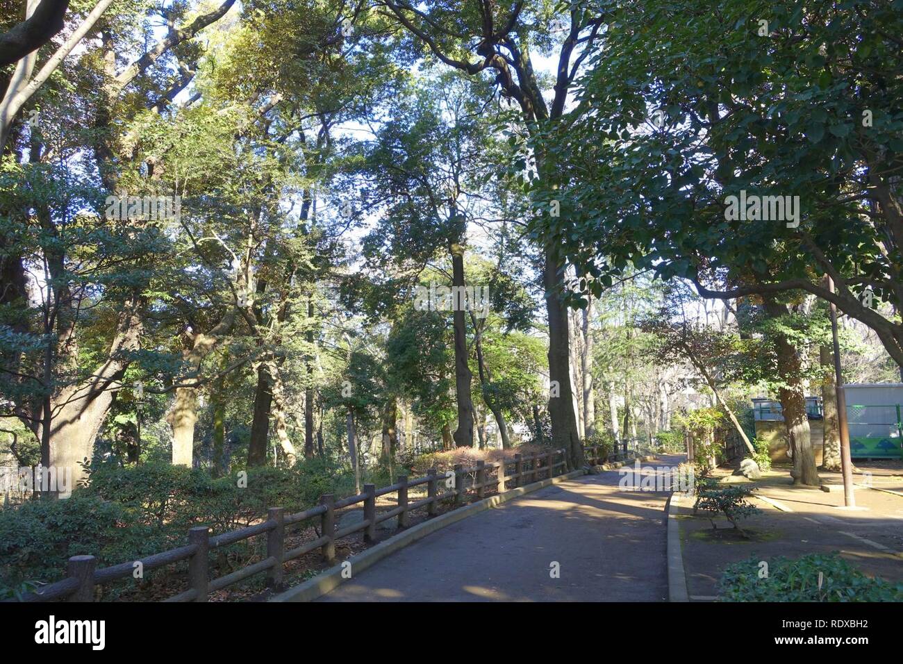 Arisugawa-no-miya Memorial Park Stock Photo - Alamy