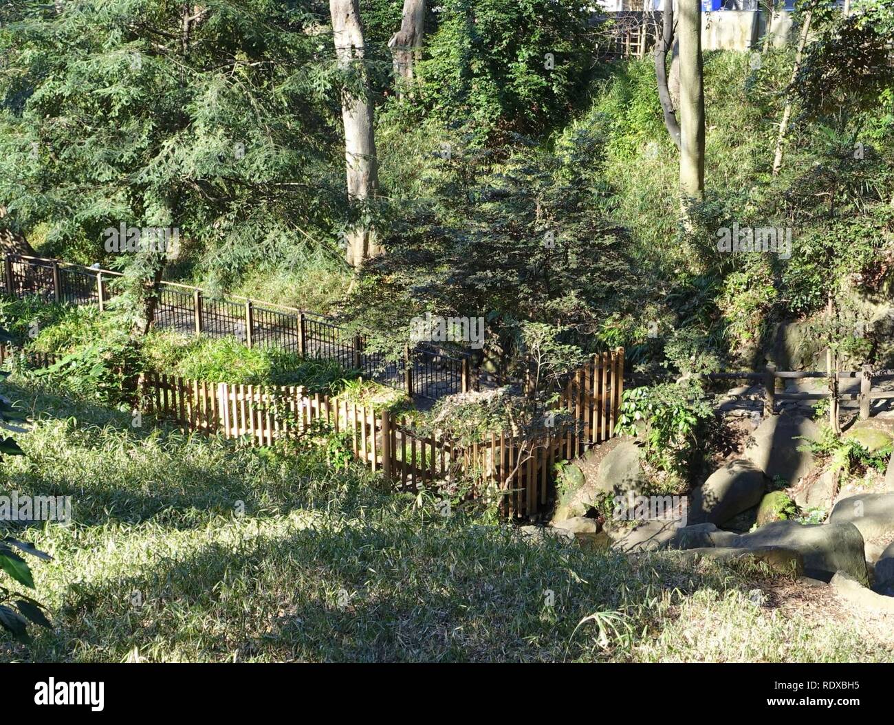 Arisugawa-no-miya Memorial Park Stock Photo - Alamy