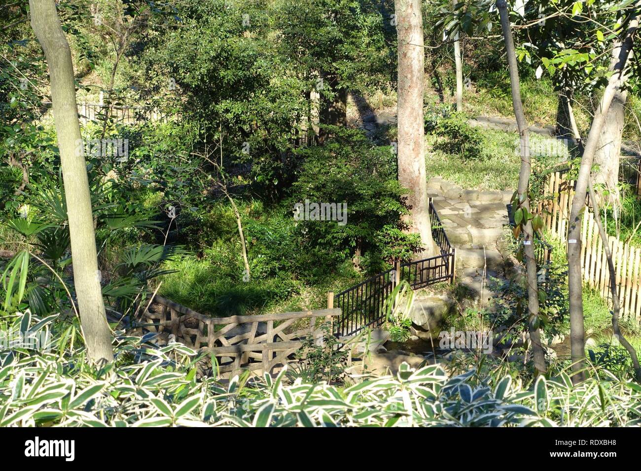 Arisugawa-no-miya Memorial Park Stock Photo - Alamy