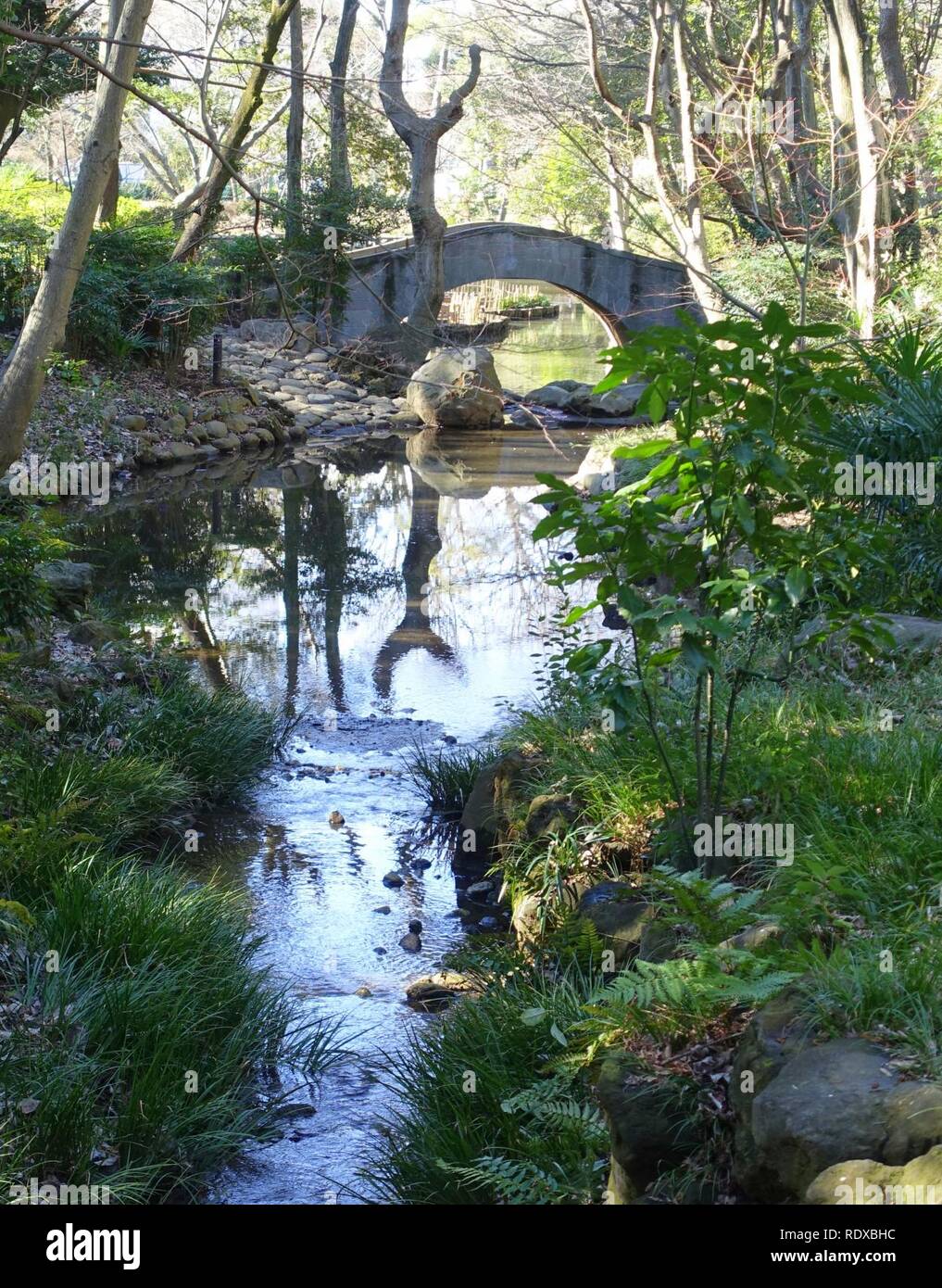 Arisugawa-no-miya Memorial Park Stock Photo - Alamy