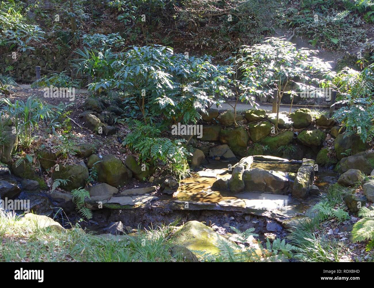 Arisugawa-no-miya Memorial Park Stock Photo - Alamy