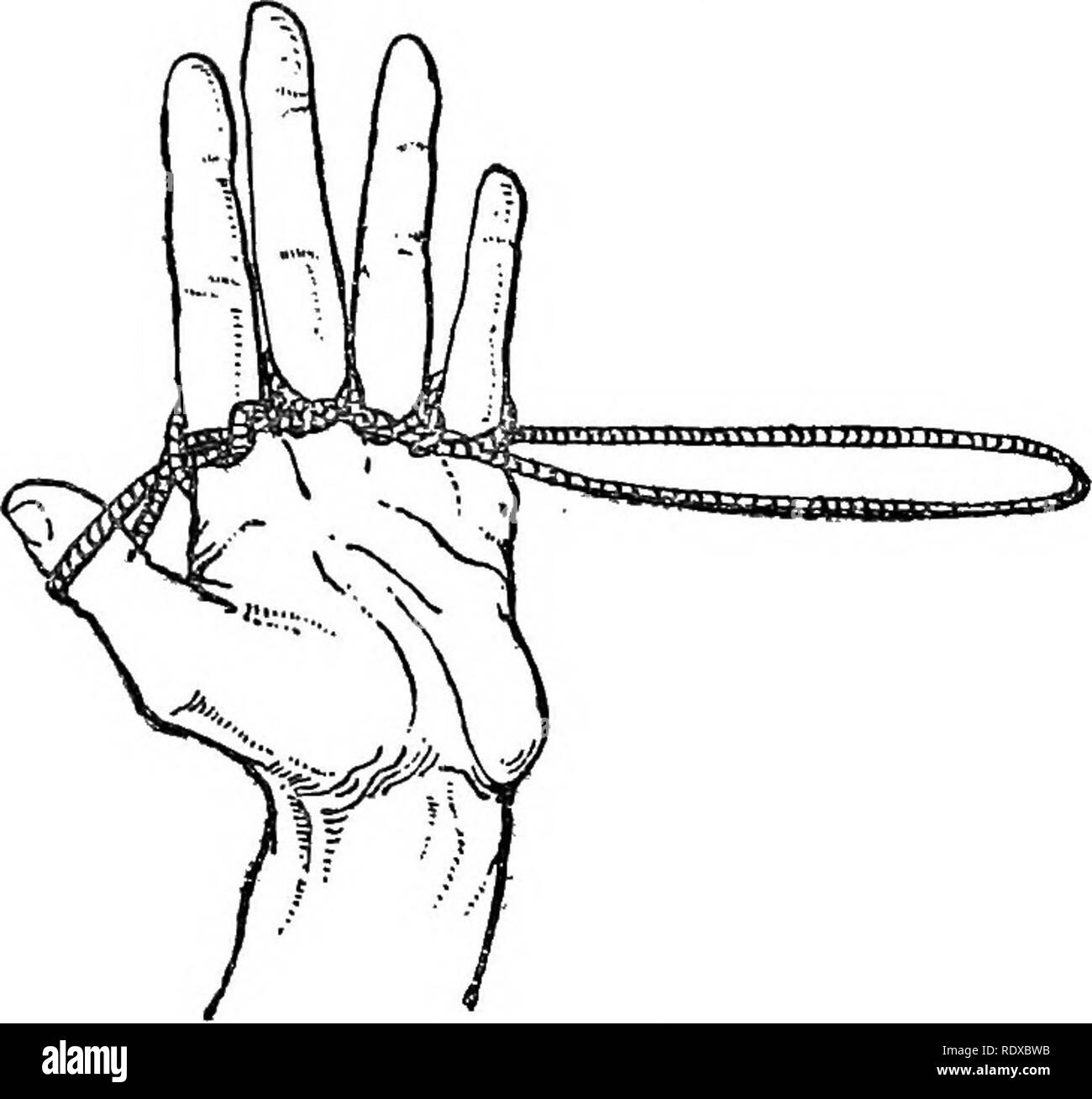 Thief palm Black and White Stock Photos & Images - Alamy