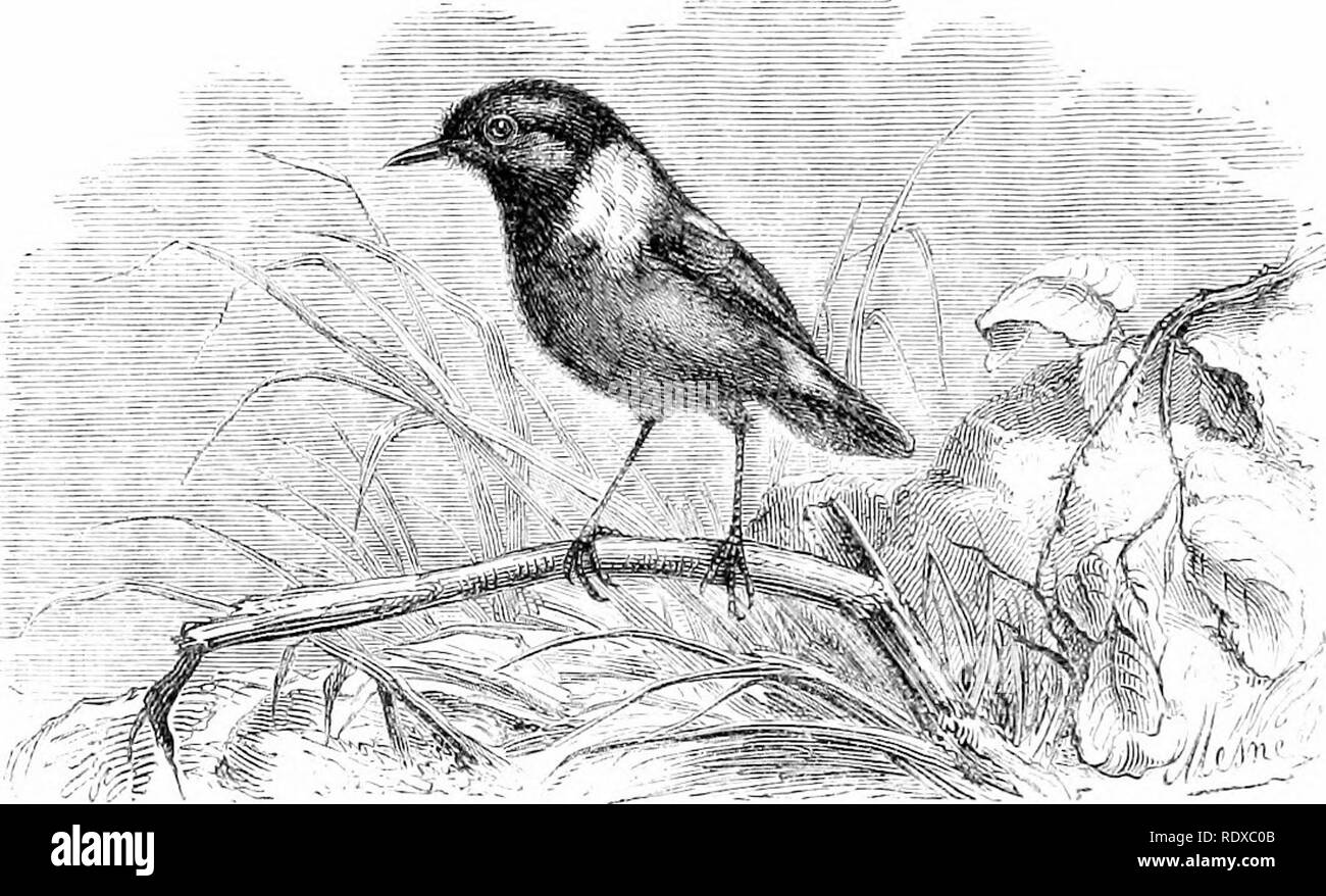 Snapping off Black and White Stock Photos & Images - Alamy