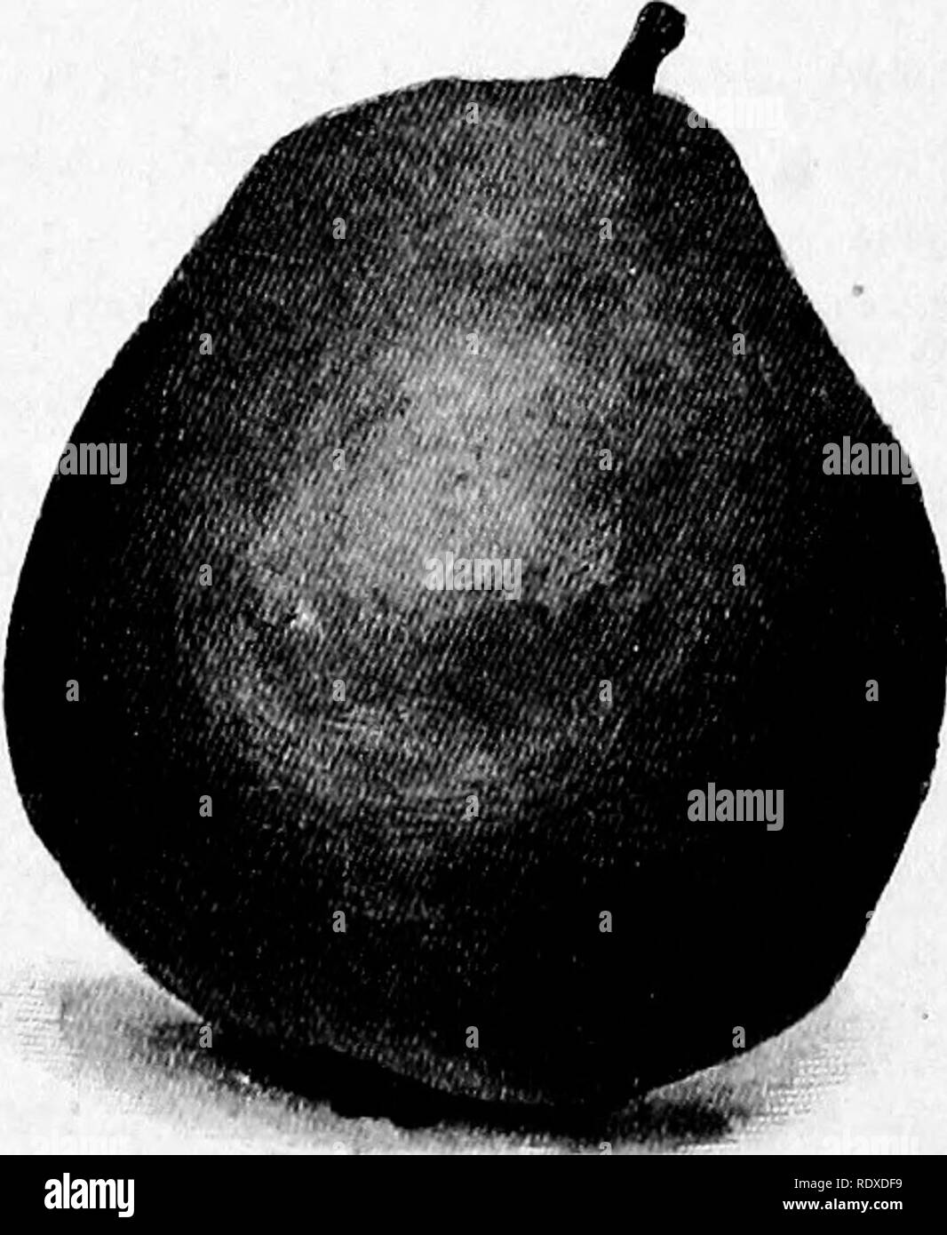 Rampant growth Black and White Stock Photos & Images - Alamy