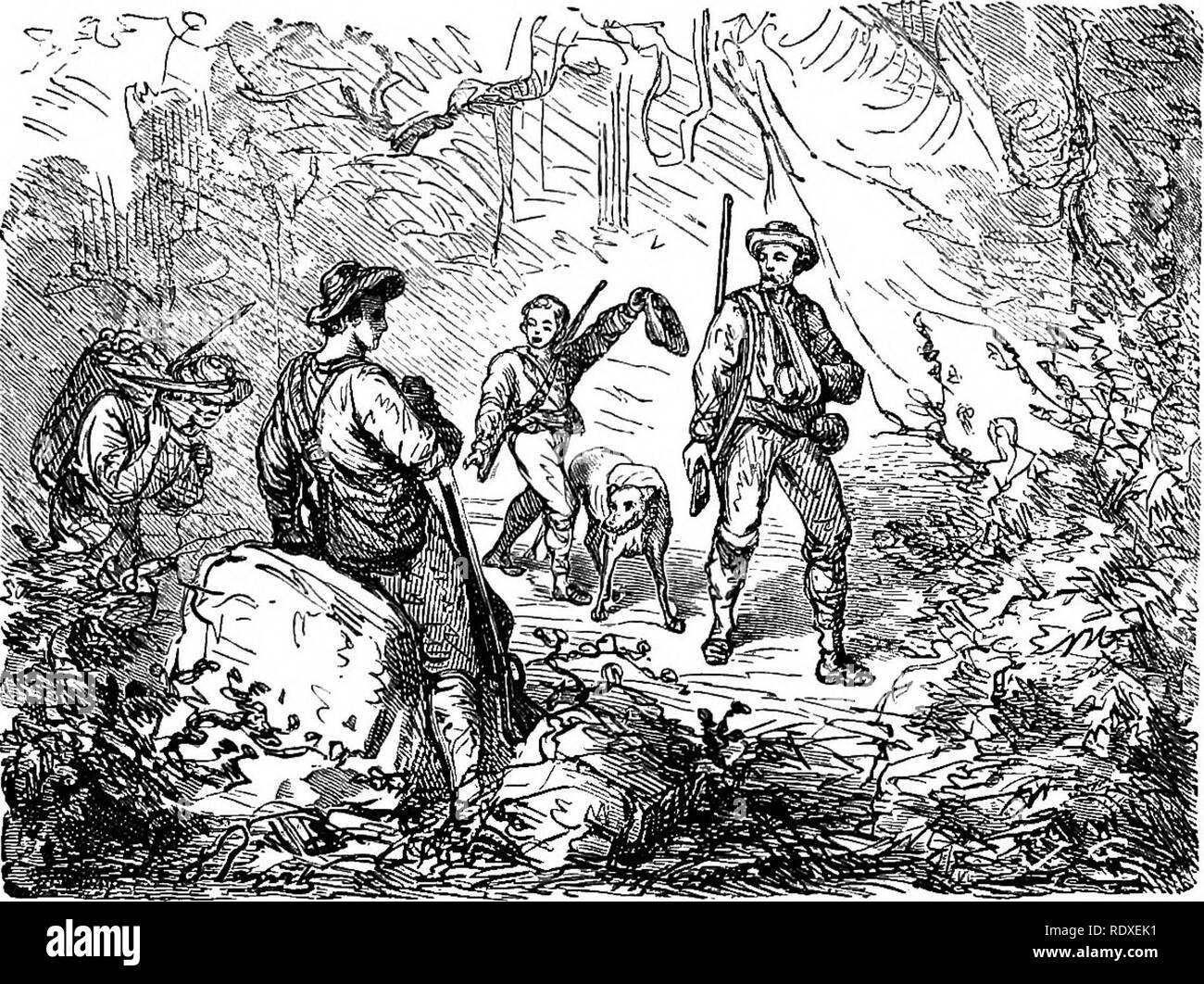 Magnolia passage hi-res stock photography and images - Alamy