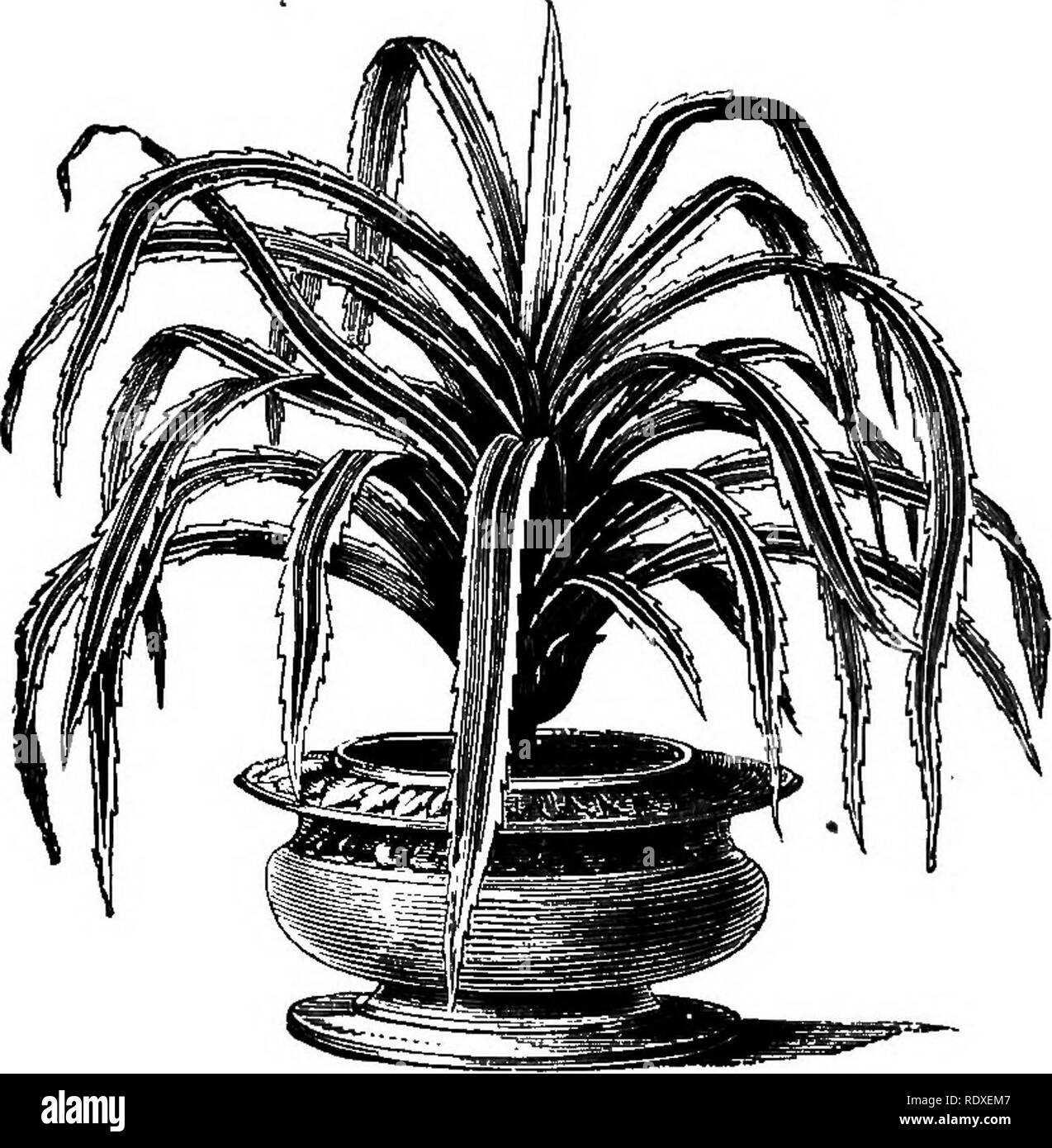 . The Book of gardening; a handbook of horticulture. Gardening ...