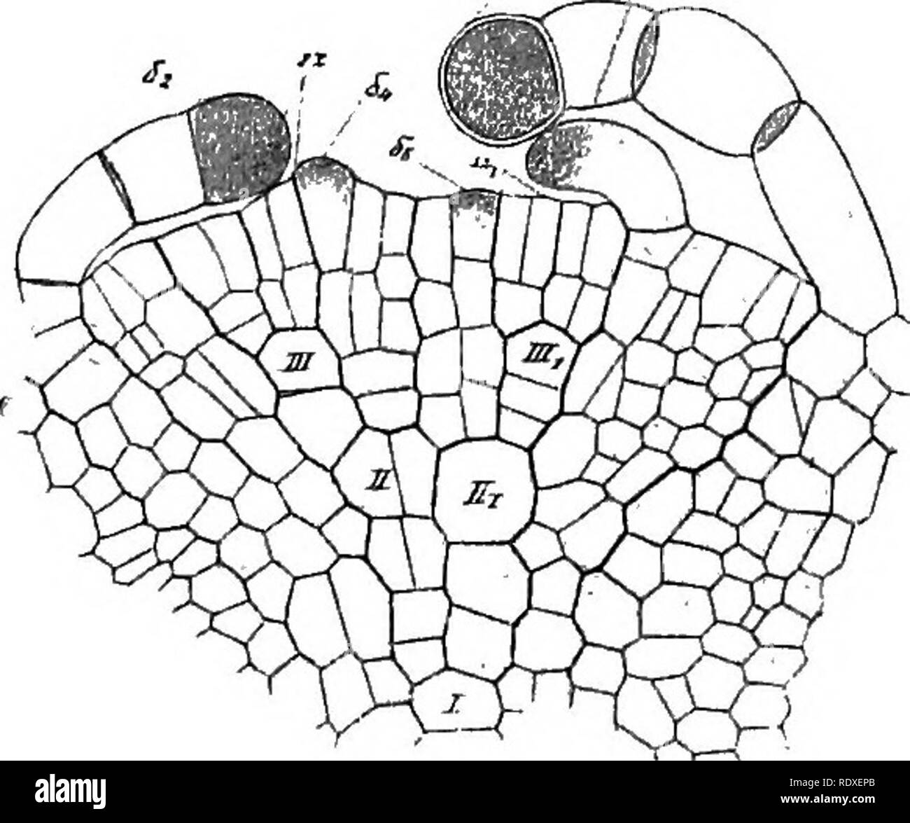 Dichotomy Black and White Stock Photos & Images - Alamy