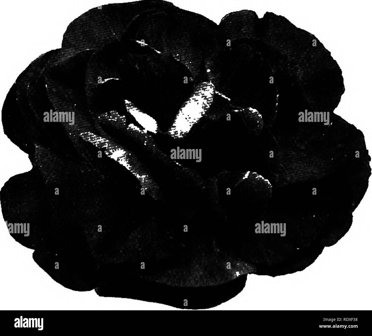 Blue spikes Black and White Stock Photos & Images - Alamy