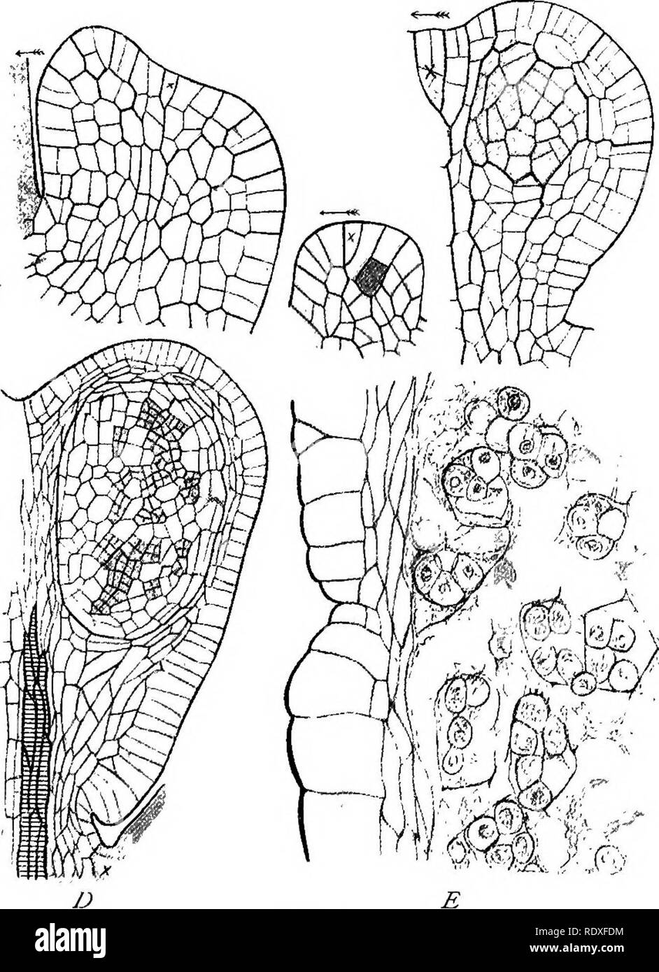 Number 232 Cut Out Stock Images & Pictures - Alamy