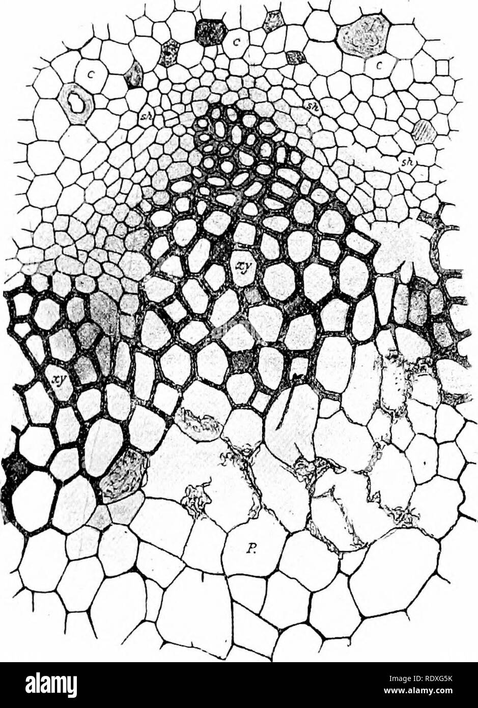 Contiguous zone Black and White Stock Photos & Images - Alamy