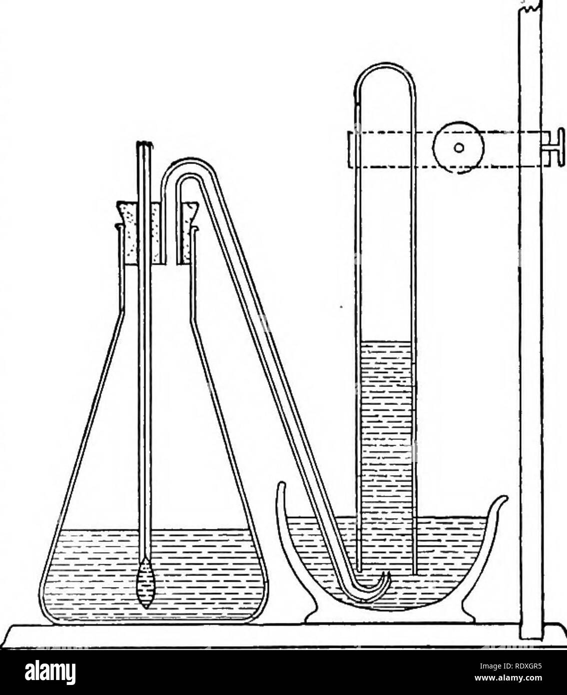 Yeast Fermentation Lab