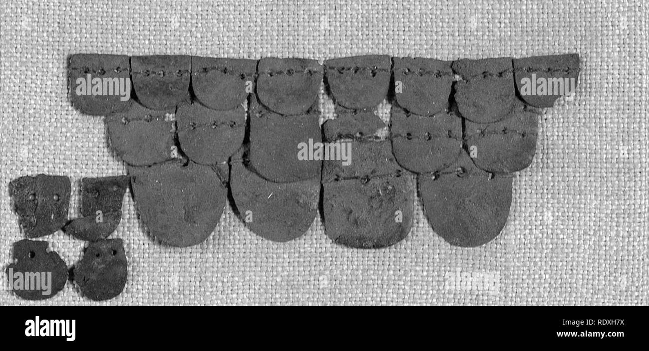 Armor scales hi-res stock photography and images - Alamy