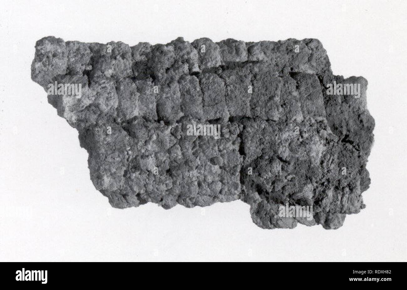 Armor scales hi-res stock photography and images - Alamy