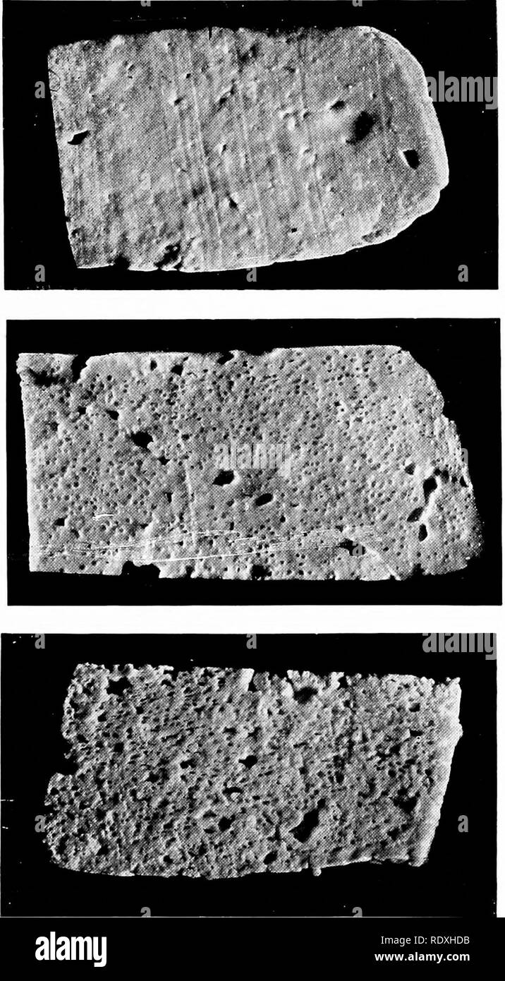 Cottage cheese texture Black and White Stock Photos & Images - Alamy