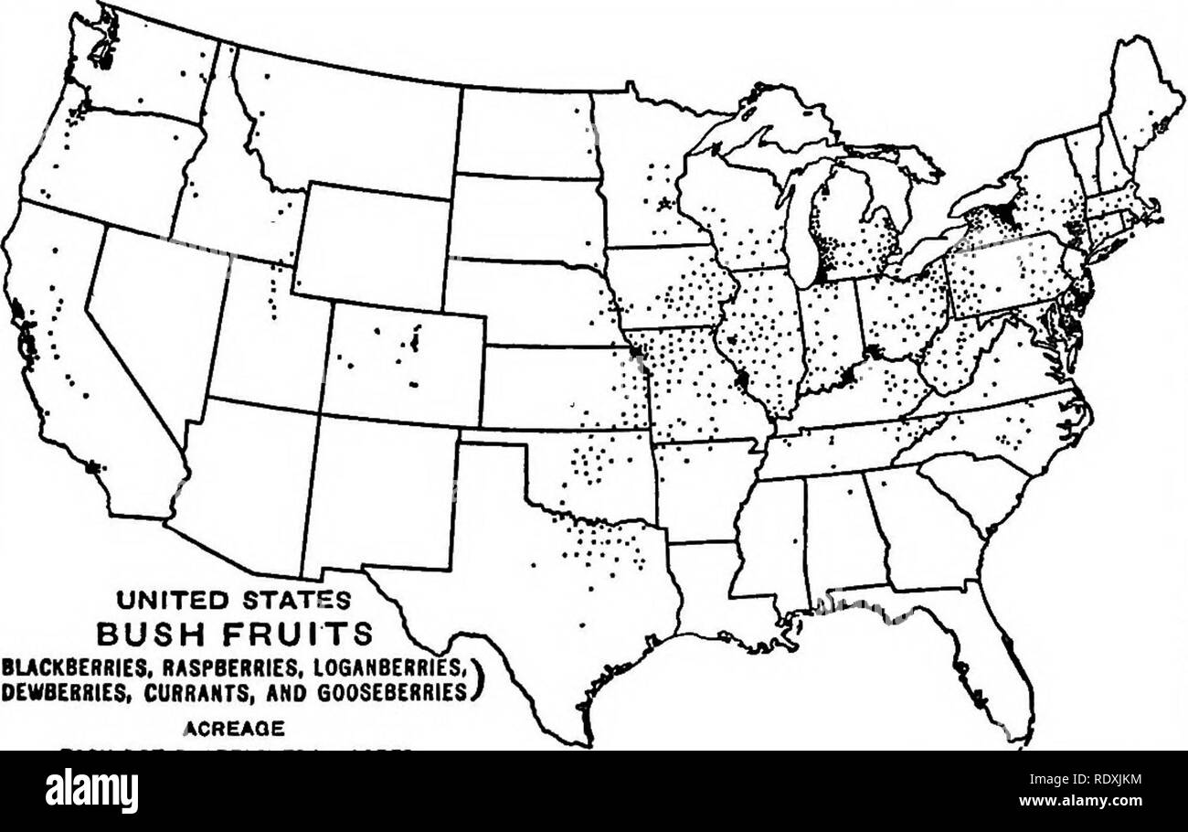 Culture blueberries Black and White Stock Photos & Images - Alamy