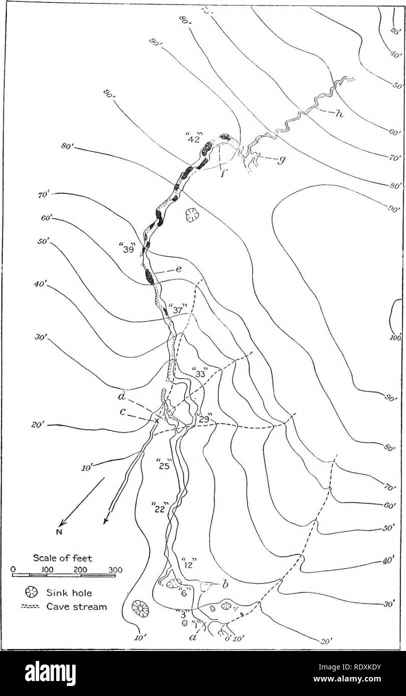 . The fauna of Mayfield's cave. Cave animals. PLATE 2.. MAP OF MAYPIELD ...