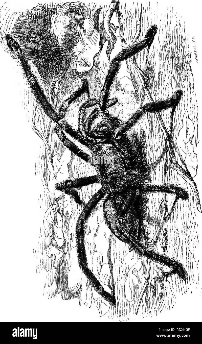 C 1804 Black and White Stock Photos & Images - Alamy