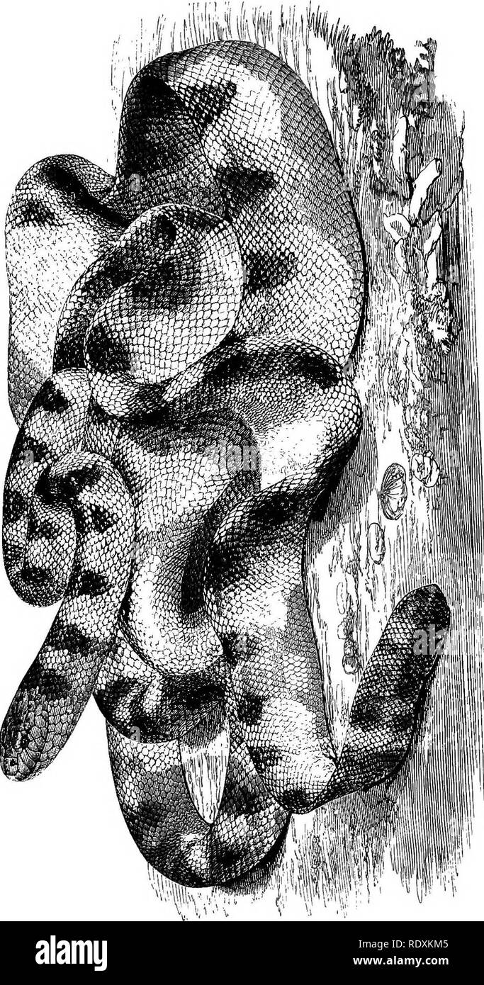 C 1804 Black and White Stock Photos & Images - Alamy