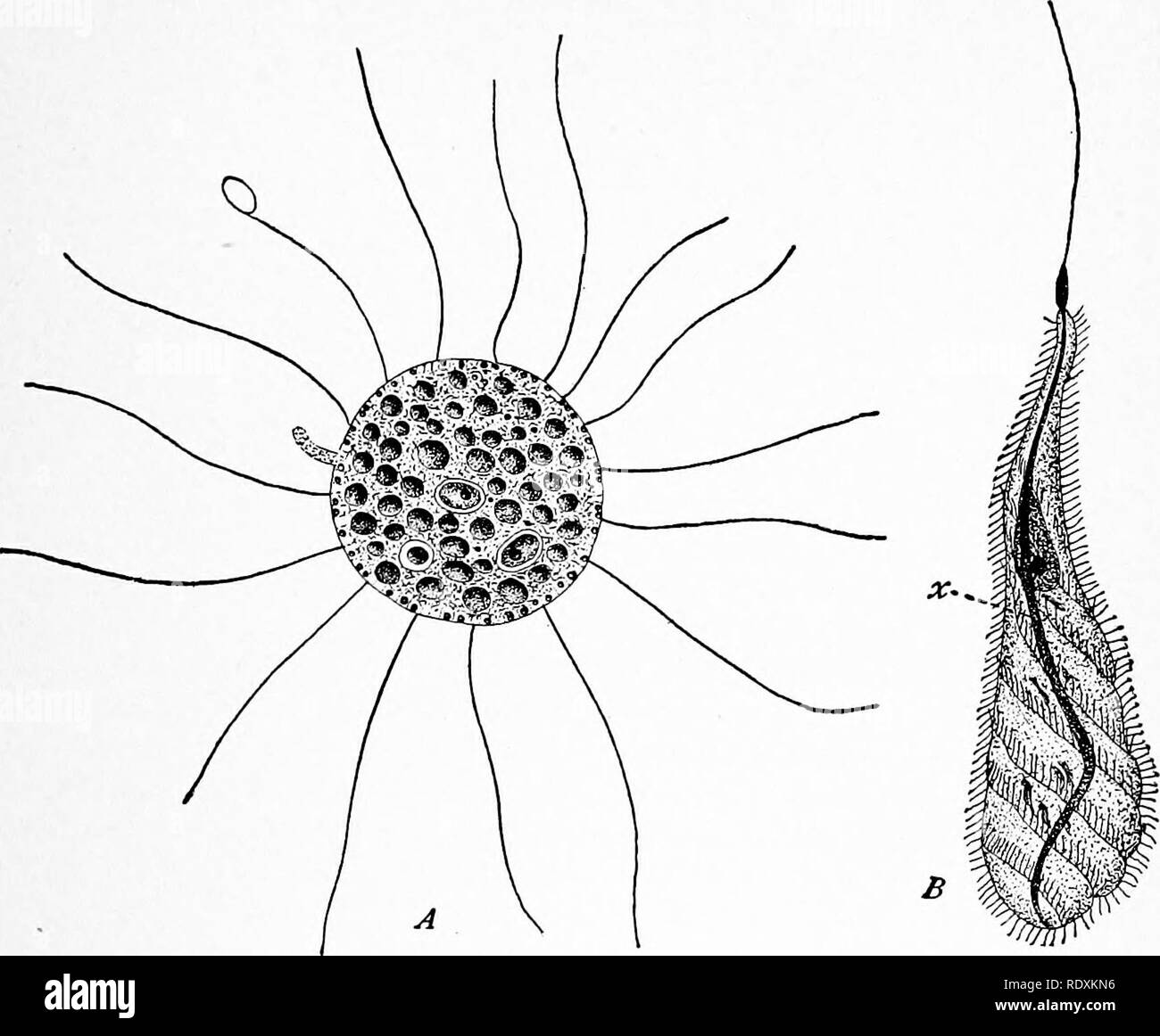 Gary porter Black and White Stock Photos & Images - Alamy