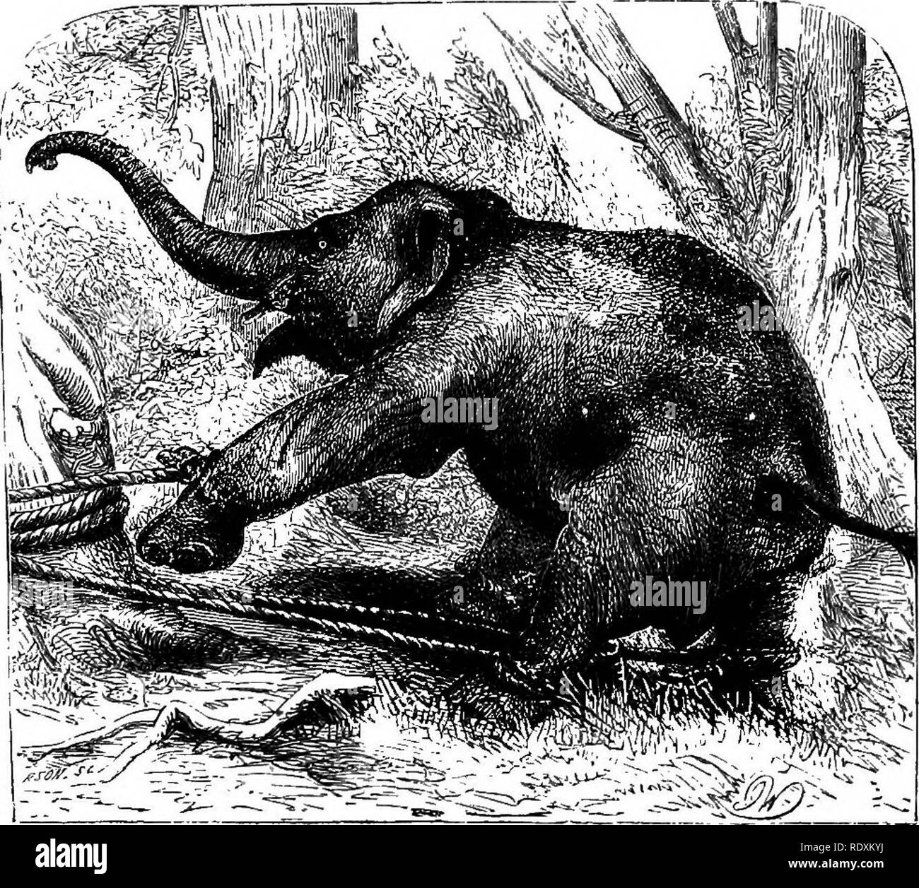 Made from natural fibre Black and White Stock Photos & Images - Alamy