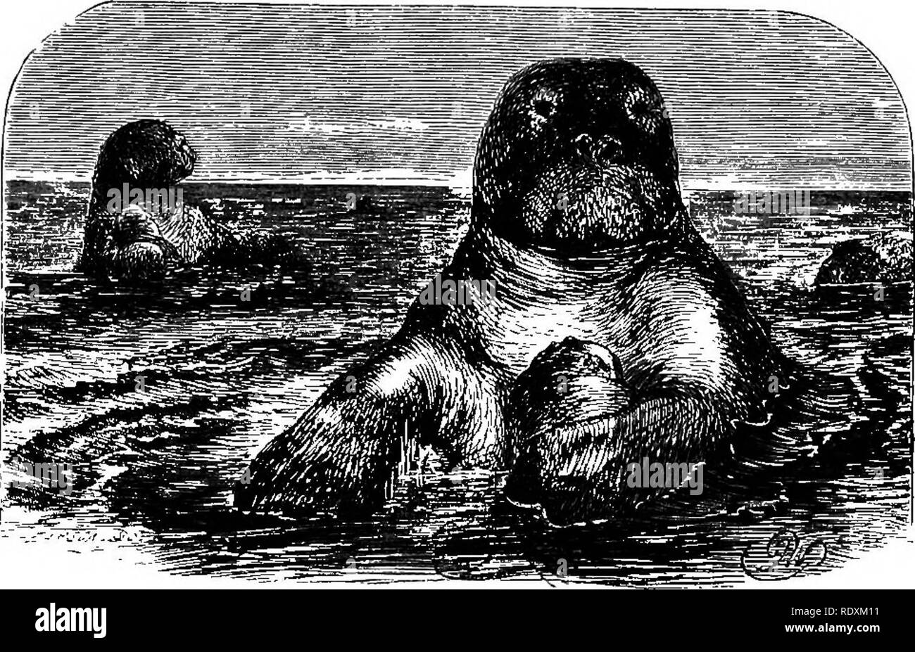 . Sketches of the natural history of Ceylon; with narratives and ...