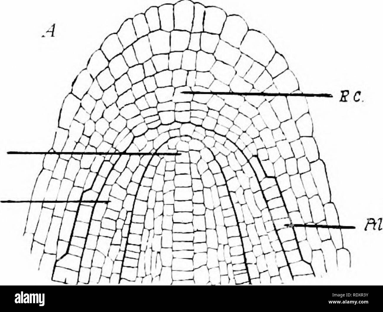 Apex cap Black and White Stock Photos & Images - Alamy