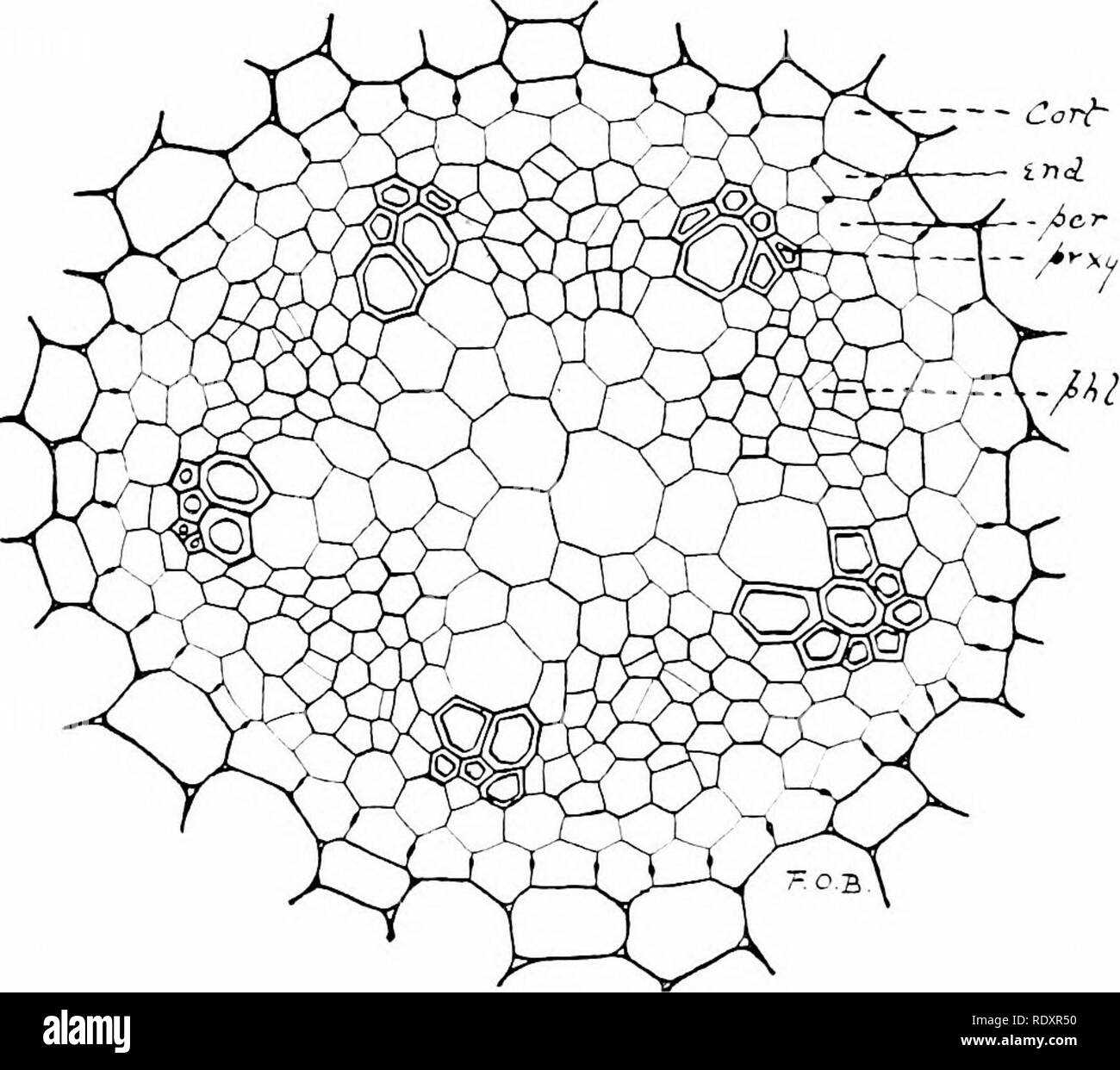 Interspaces Black and White Stock Photos & Images - Alamy