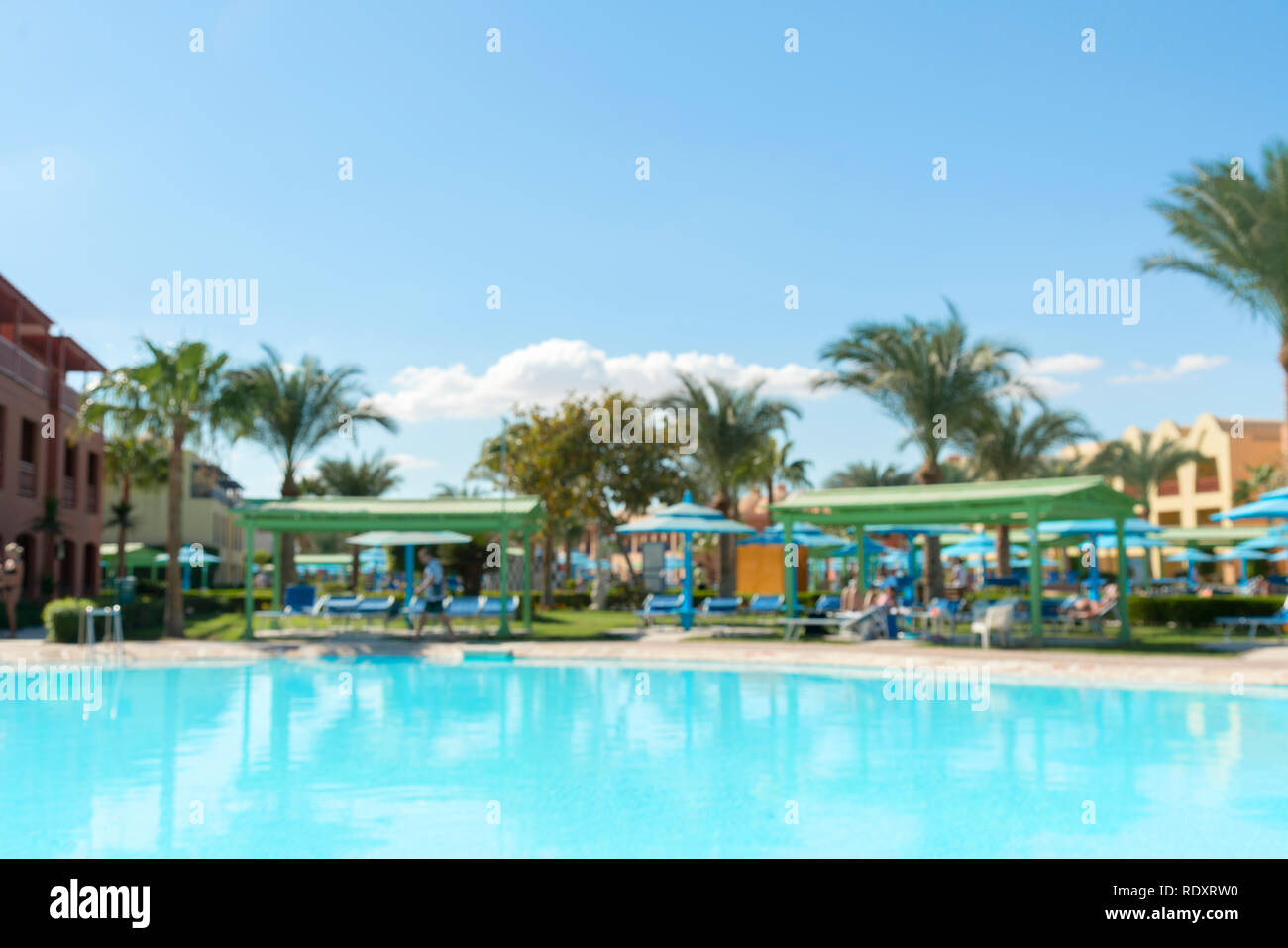Blur summer background of pool with blue cool sky and tropical palm ...