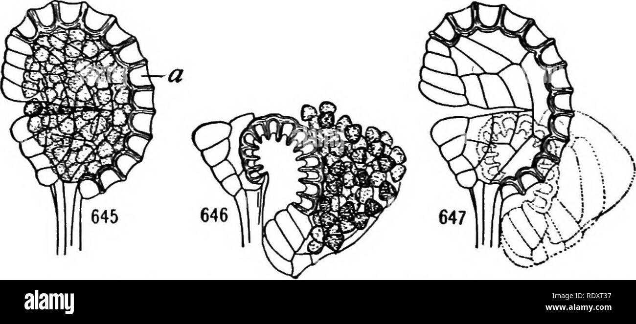. A textbook of botany for colleges and universities ... Botany. 352 ...