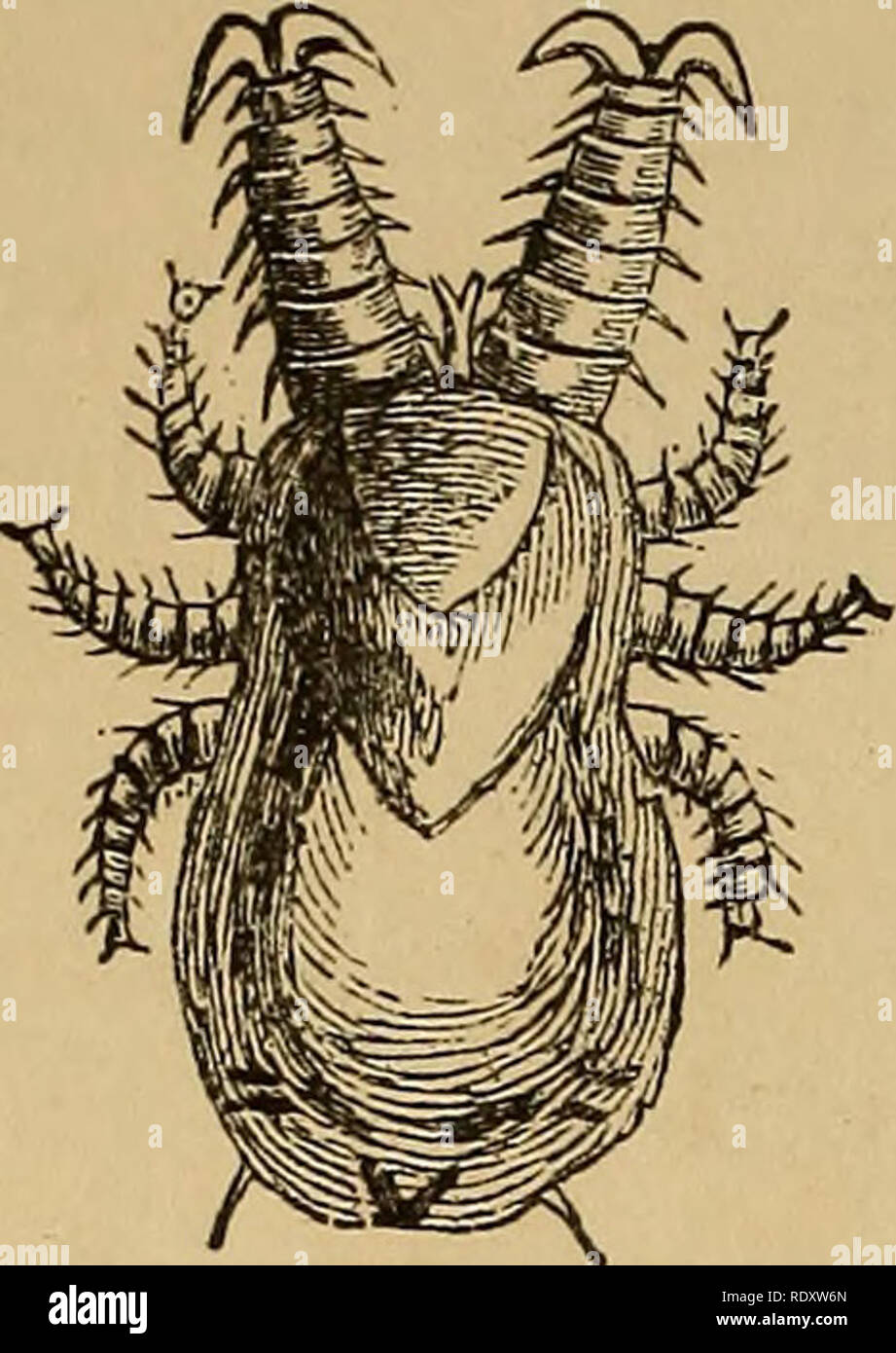 Sub arachnoidea hi-res stock photography and images - Alamy