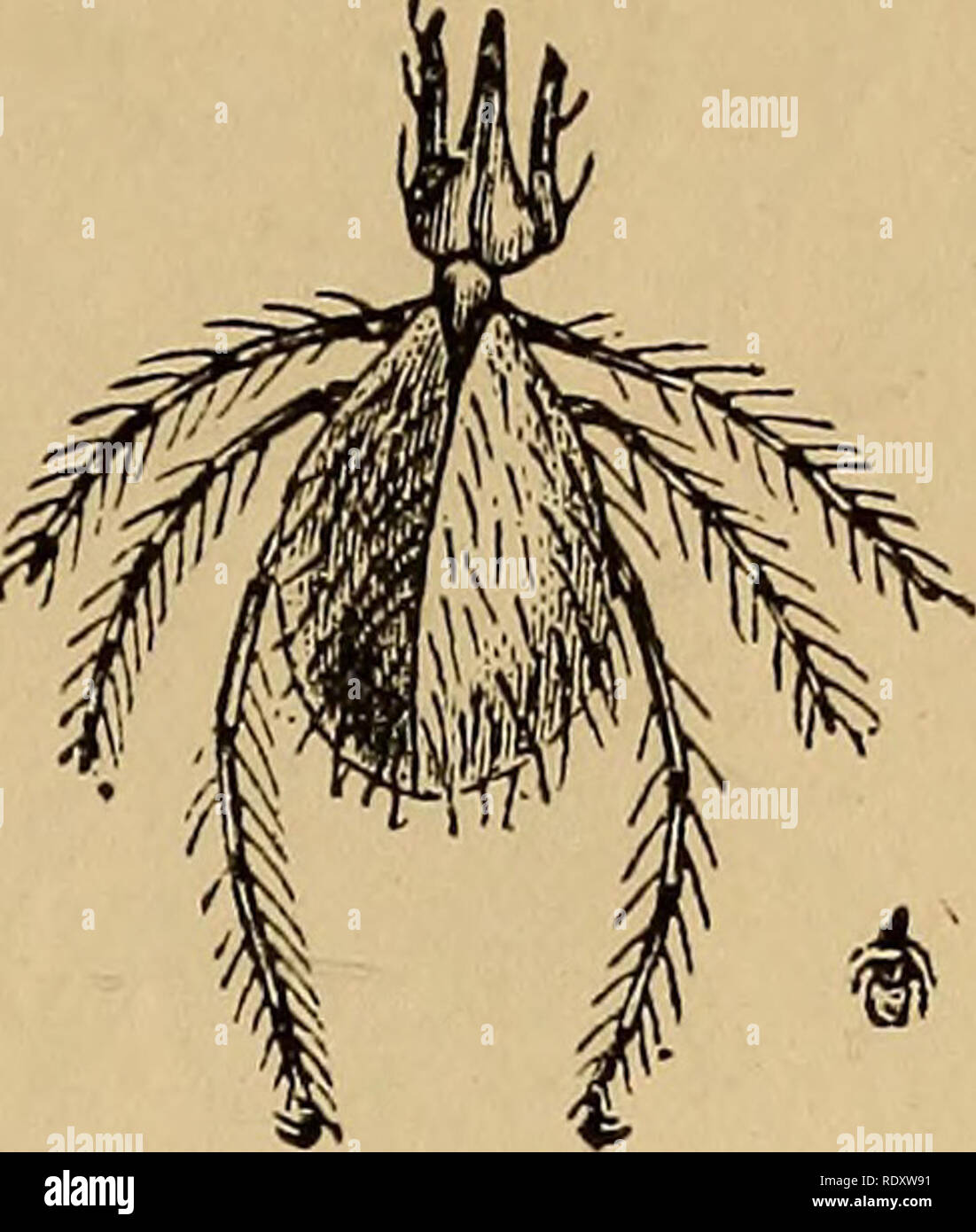 Correctives hi-res stock photography and images - Alamy