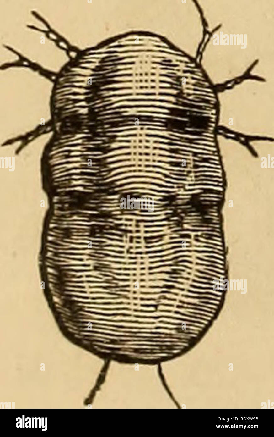 Larium hi-res stock photography and images - Alamy