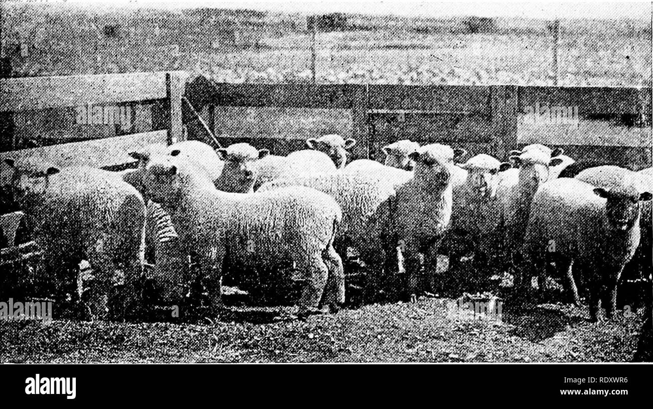 Maternal twins Black and White Stock Photos & Images - Alamy