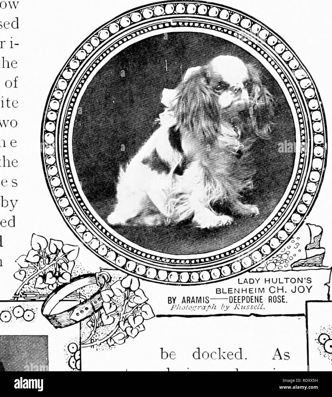 Ruby and tricolour hi-res stock photography and images - Alamy