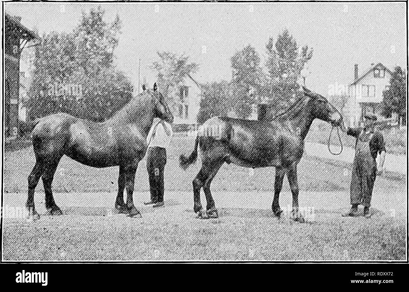 E 2 35 29 Black and White Stock Photos & Images - Alamy