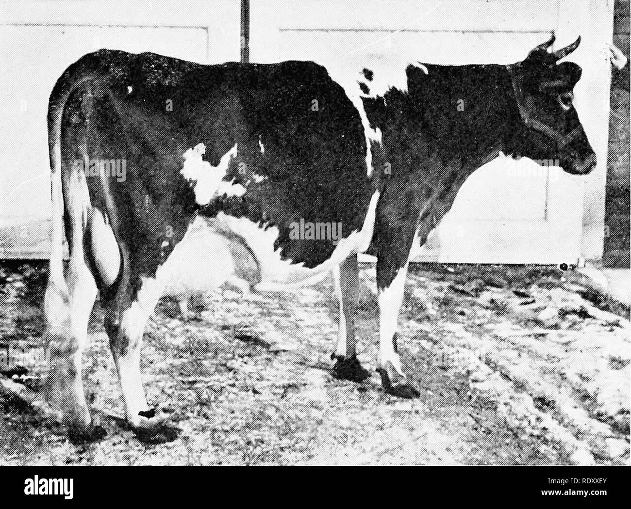 W 0 25 46 Black and White Stock Photos & Images - Alamy