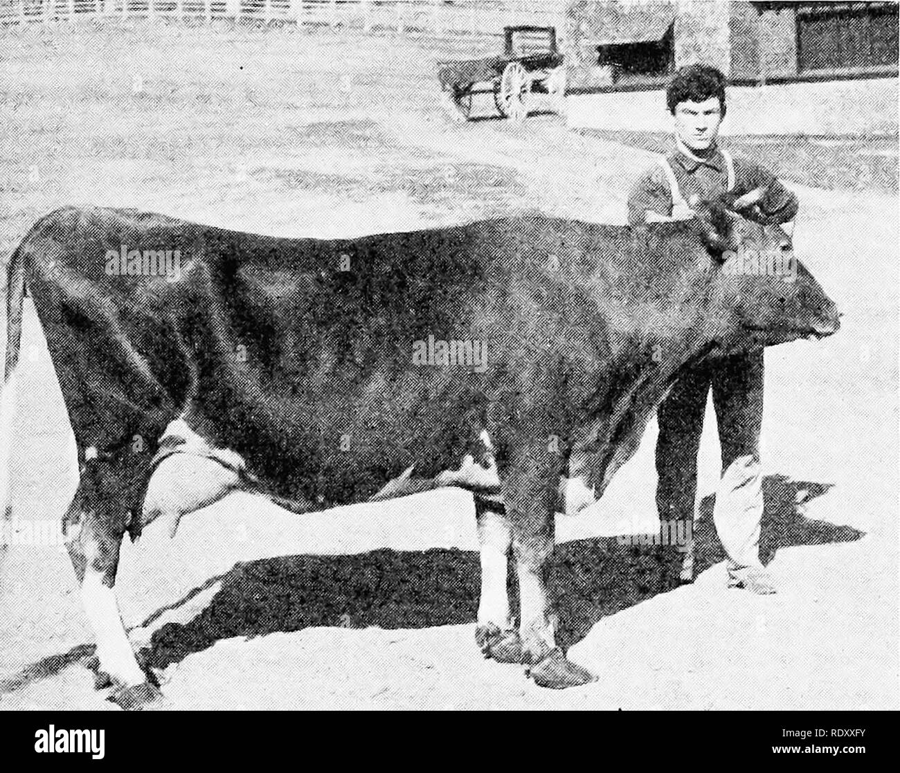 Anchor butter hi-res stock photography and images - Alamy