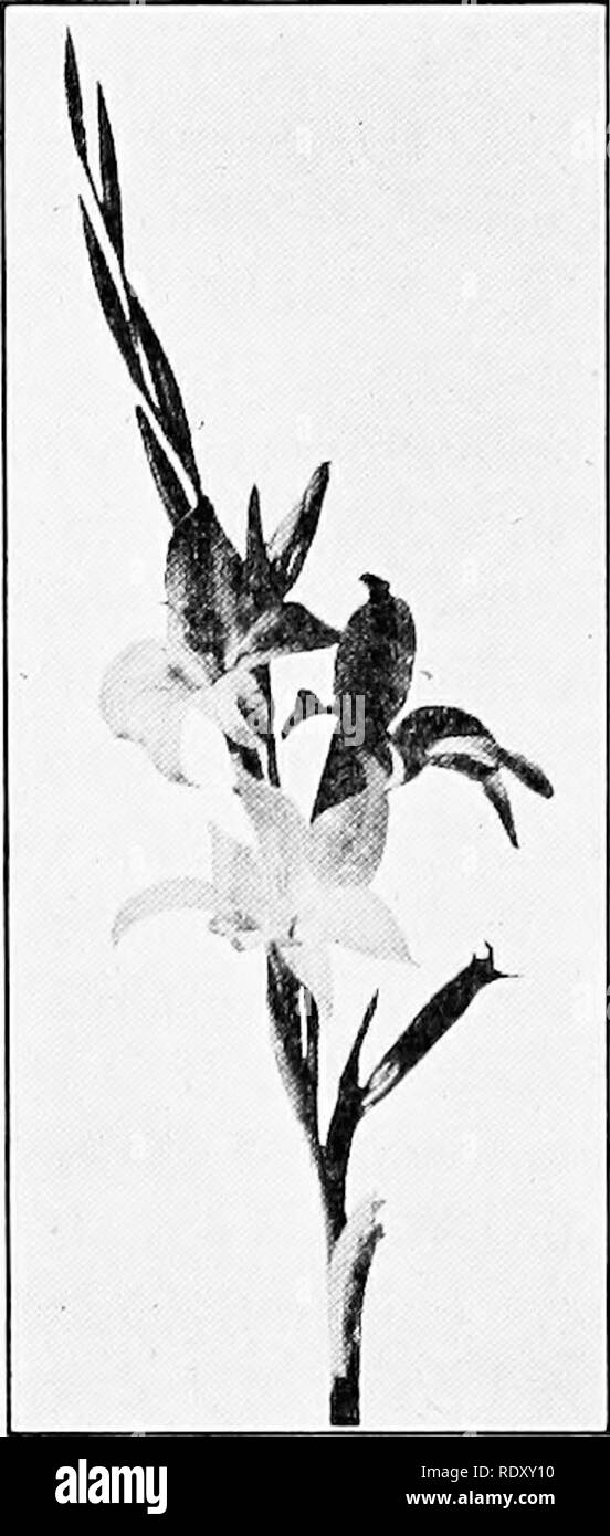 Point mutations hi-res stock photography and images - Alamy