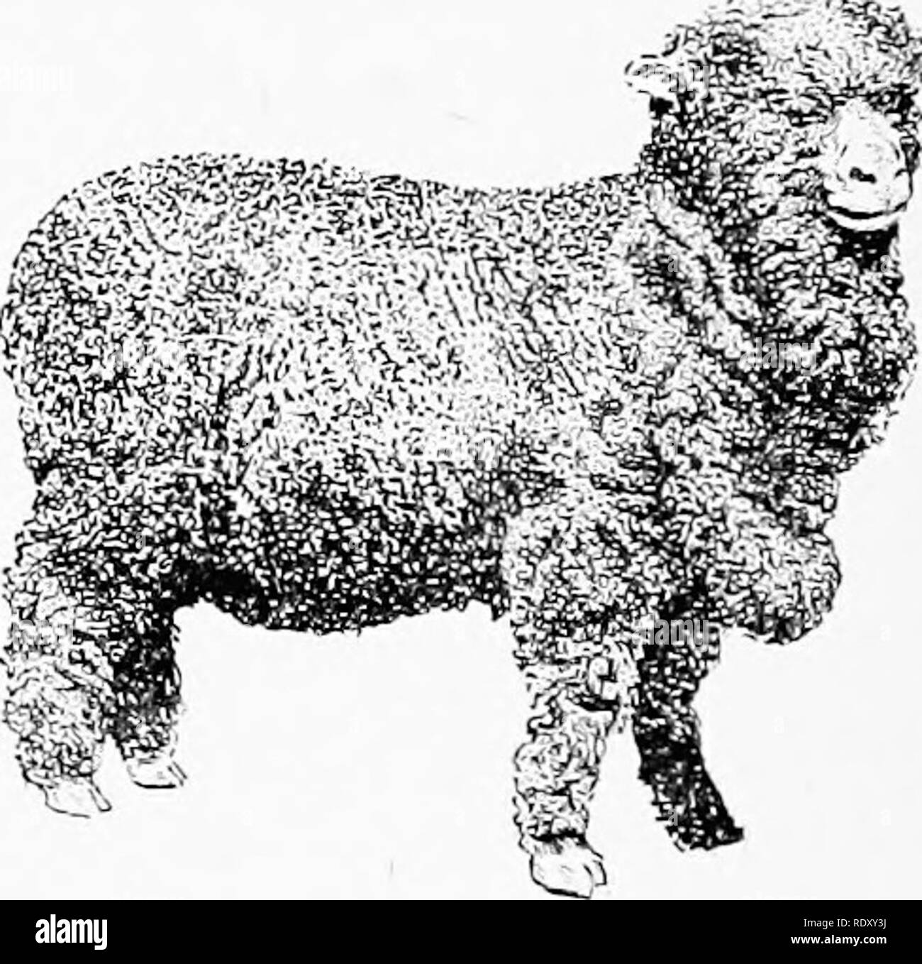 Skin folds arm Black and White Stock Photos & Images - Alamy