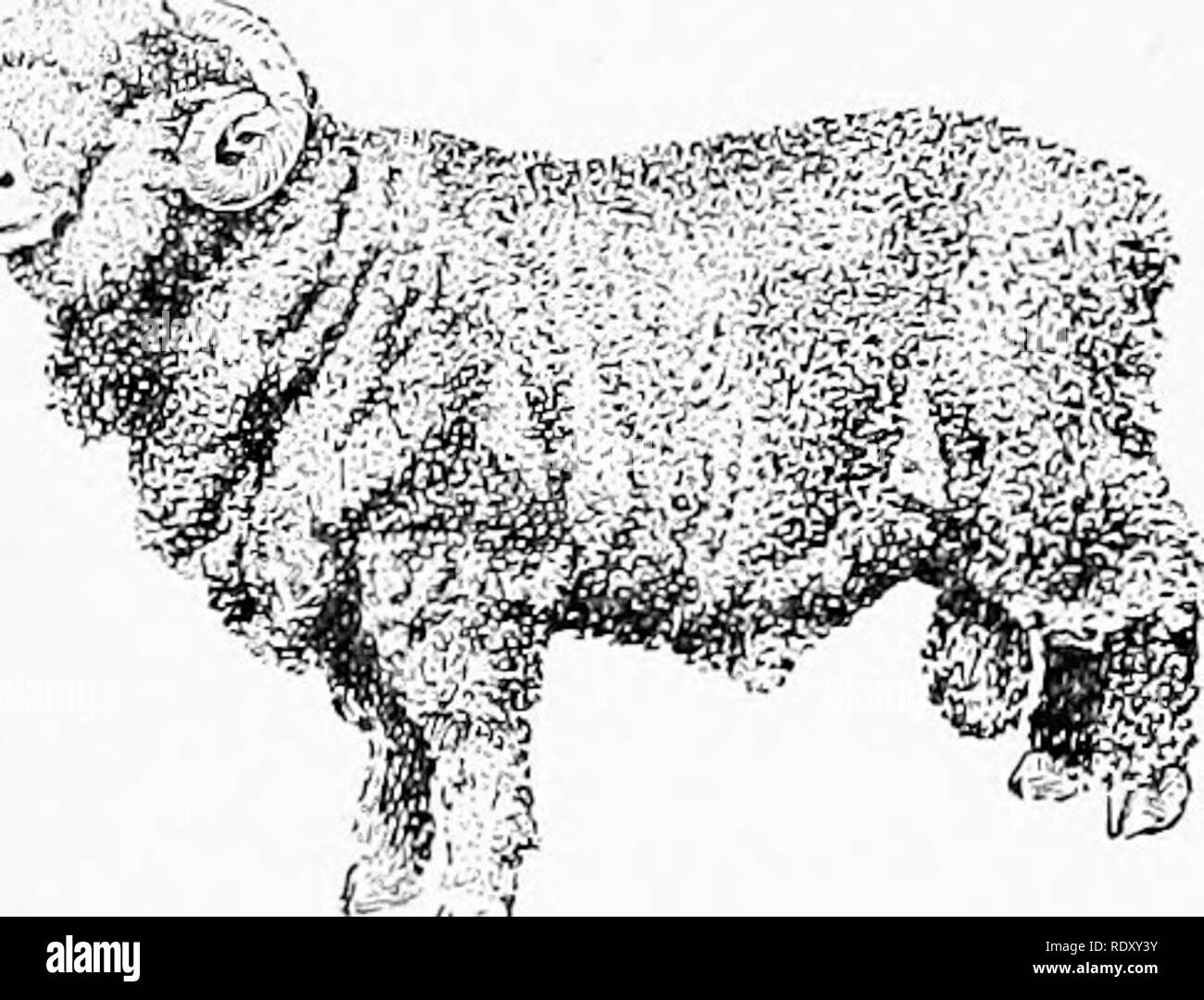 Skin folds arm Black and White Stock Photos & Images - Alamy