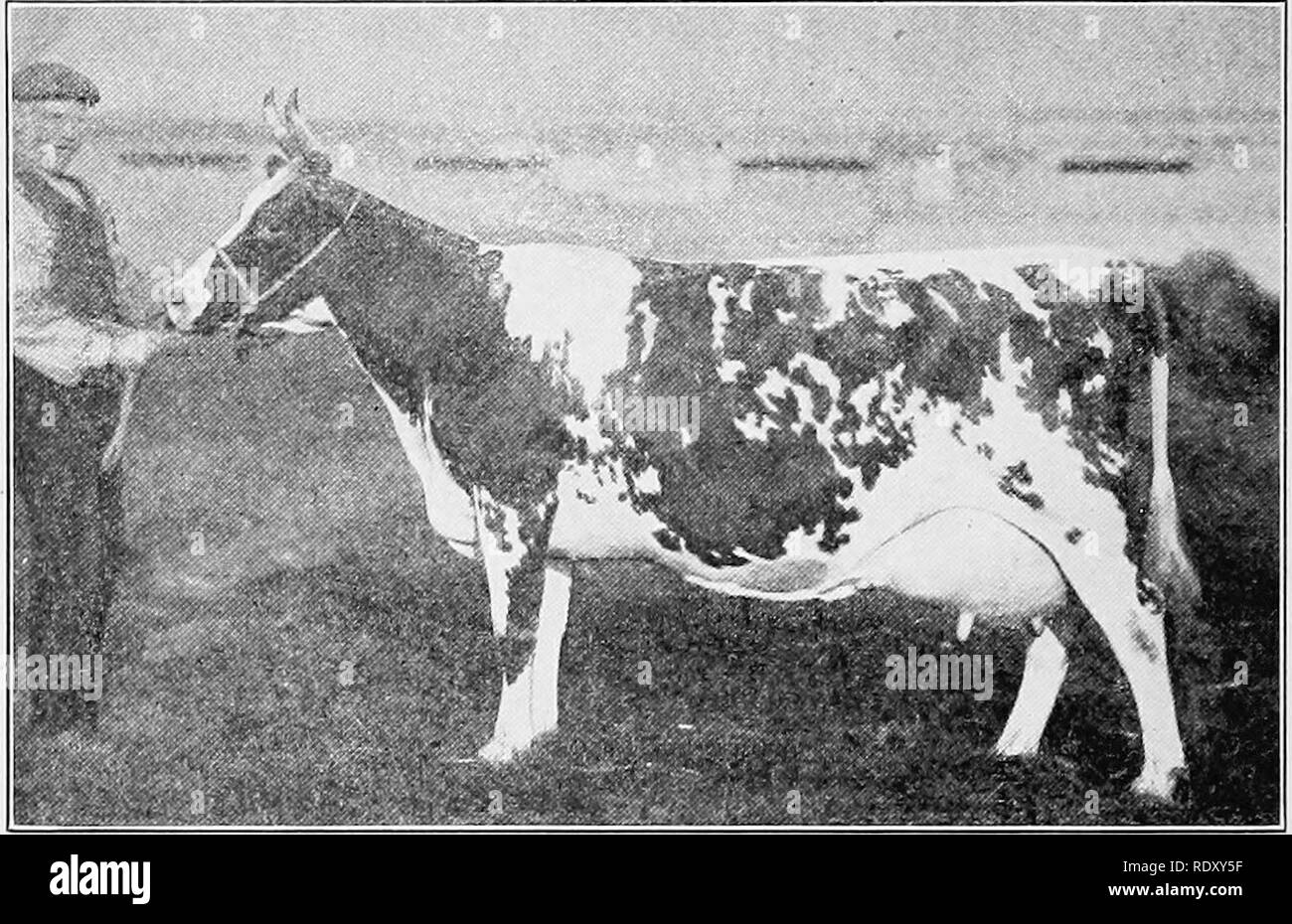 . Types and breeds of farm animals. Livestock. 320 CATTLE If the toes ...