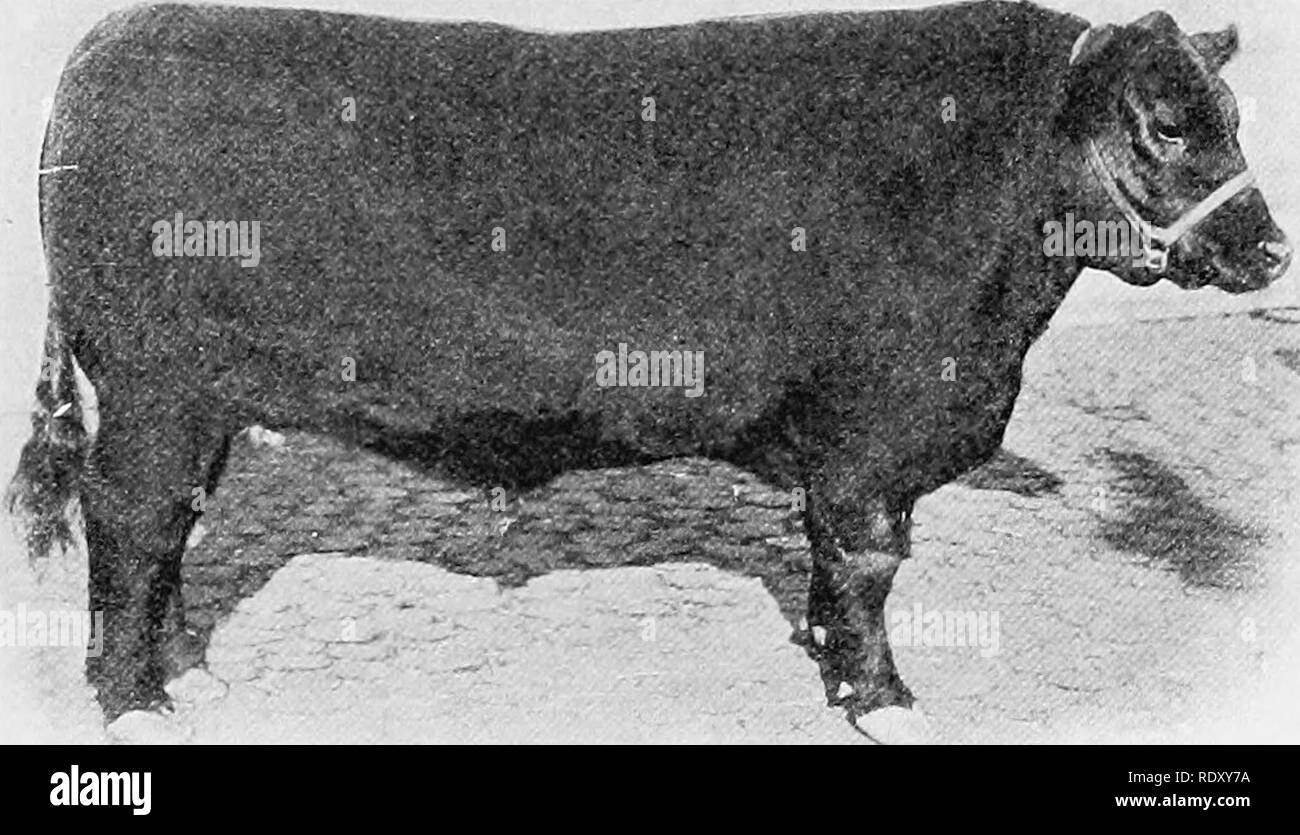 Carcass inspection Black and White Stock Photos & Images - Alamy